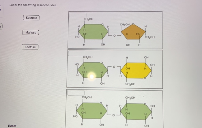 Solved Drag each label into the appropriate position to | Chegg.com