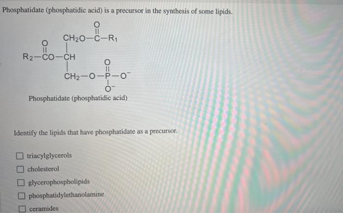Solved Phosphatidate (phosphatidic acid) is a precursor in | Chegg.com