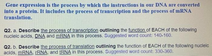 Solved Gene expression is the process by which the | Chegg.com