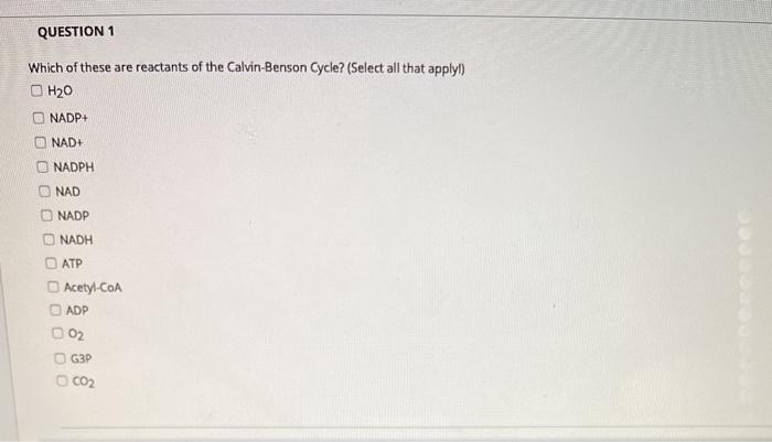 Solved QUESTION 3 In the 1930's 2,4-dinitrophenol (DNP; | Chegg.com
