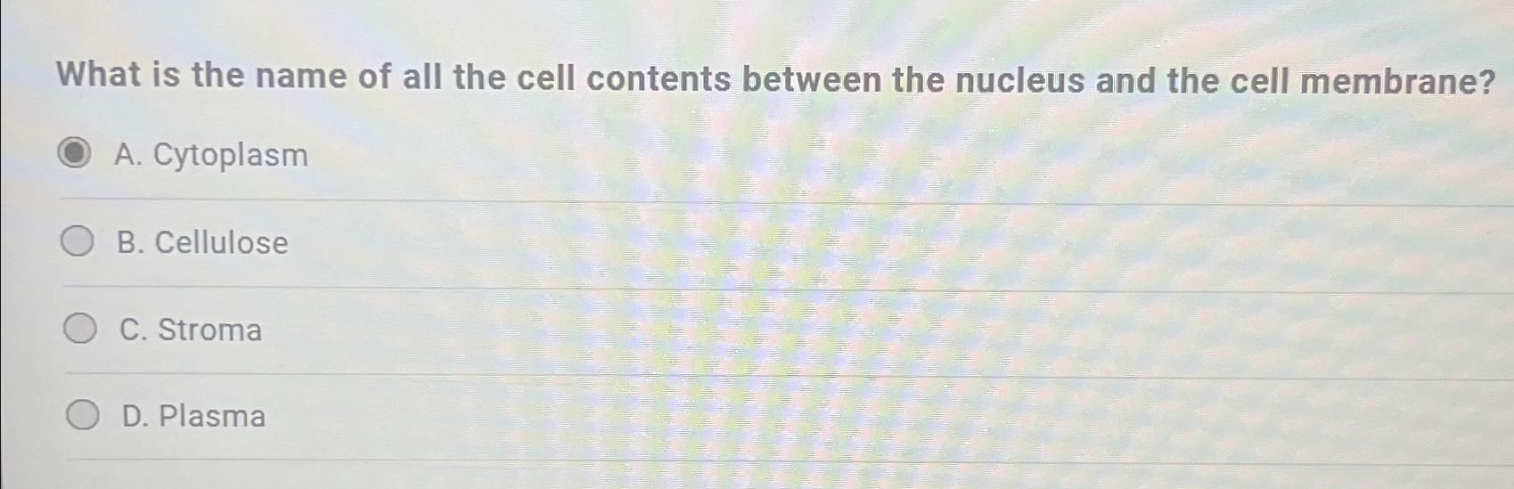 Solved What is the name of all the cell contents between the | Chegg.com
