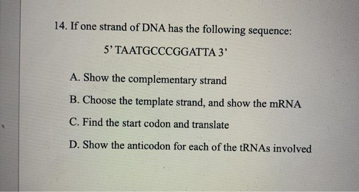Solved 14. If one strand of DNA has the following sequence: | Chegg.com