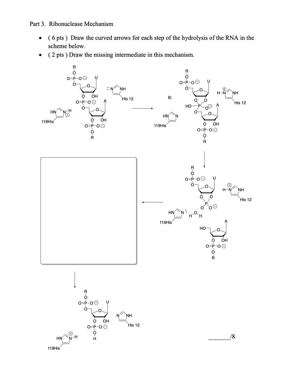 Part 3. ﻿Ribonuclease Mechanism( 6 ﻿pts ) ﻿Draw the | Chegg.com