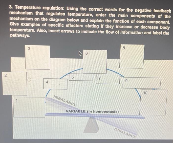 Solved 3. Temperature regulation: Using the correct words | Chegg.com