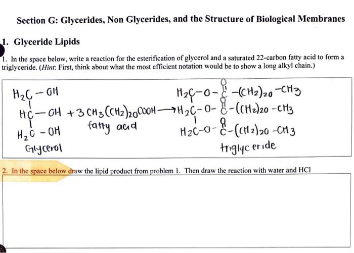 Solved Section G: Glycerides, Non Glycerides, and the | Chegg.com