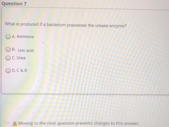 Solved Question 7 What is produced if a bacterium possesses | Chegg.com