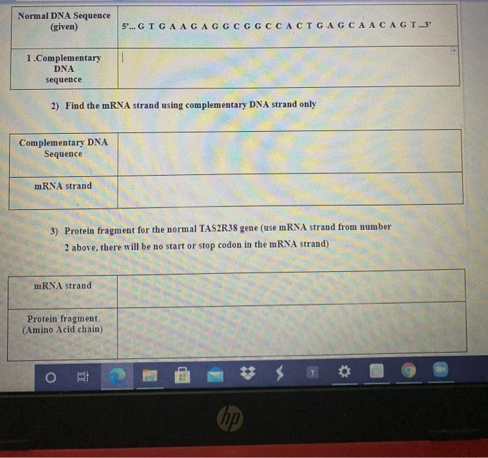 Solved Normal DNA Sequence (given) 5'... GTGA A GAGGCGGCCACT | Chegg.com