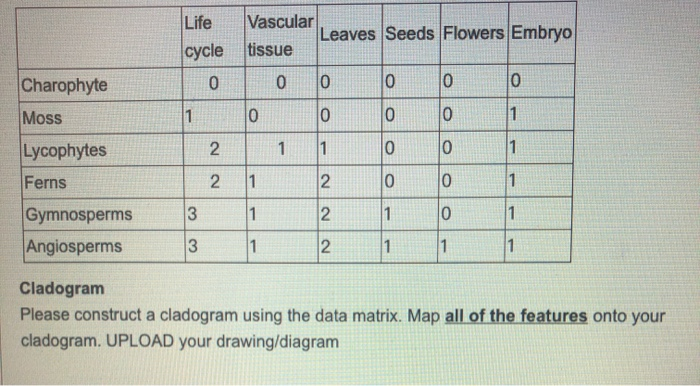 Solved Use the data matrix below to construct an cladogram. | Chegg.com