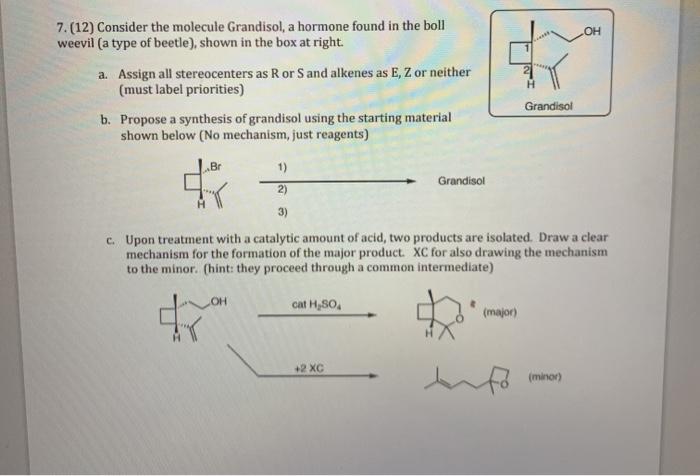 Solved OH 7.(12) Consider the molecule Grandisol, a hormone | Chegg.com
