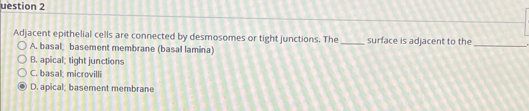 Solved uestion 2Adjacent epithelial cells are connected by | Chegg.com