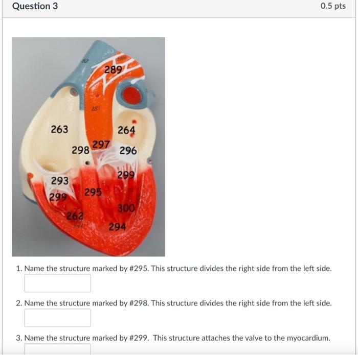 Solved Question 3 0.5 pts 289 287 264 263 297 298 296 299 | Chegg.com
