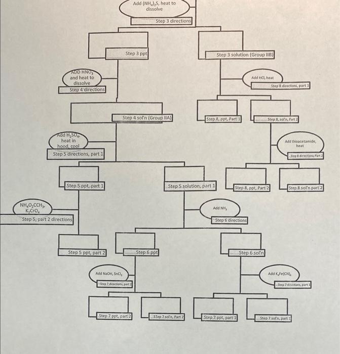 Solved complete the ion flow chart by filling in each blank | Chegg.com