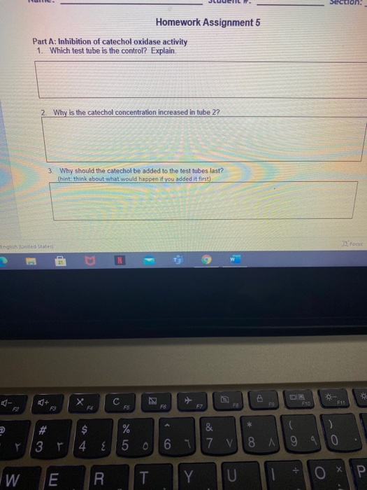 Solved Homework Assignment 5 Part A: Inhibition of catechol | Chegg.com