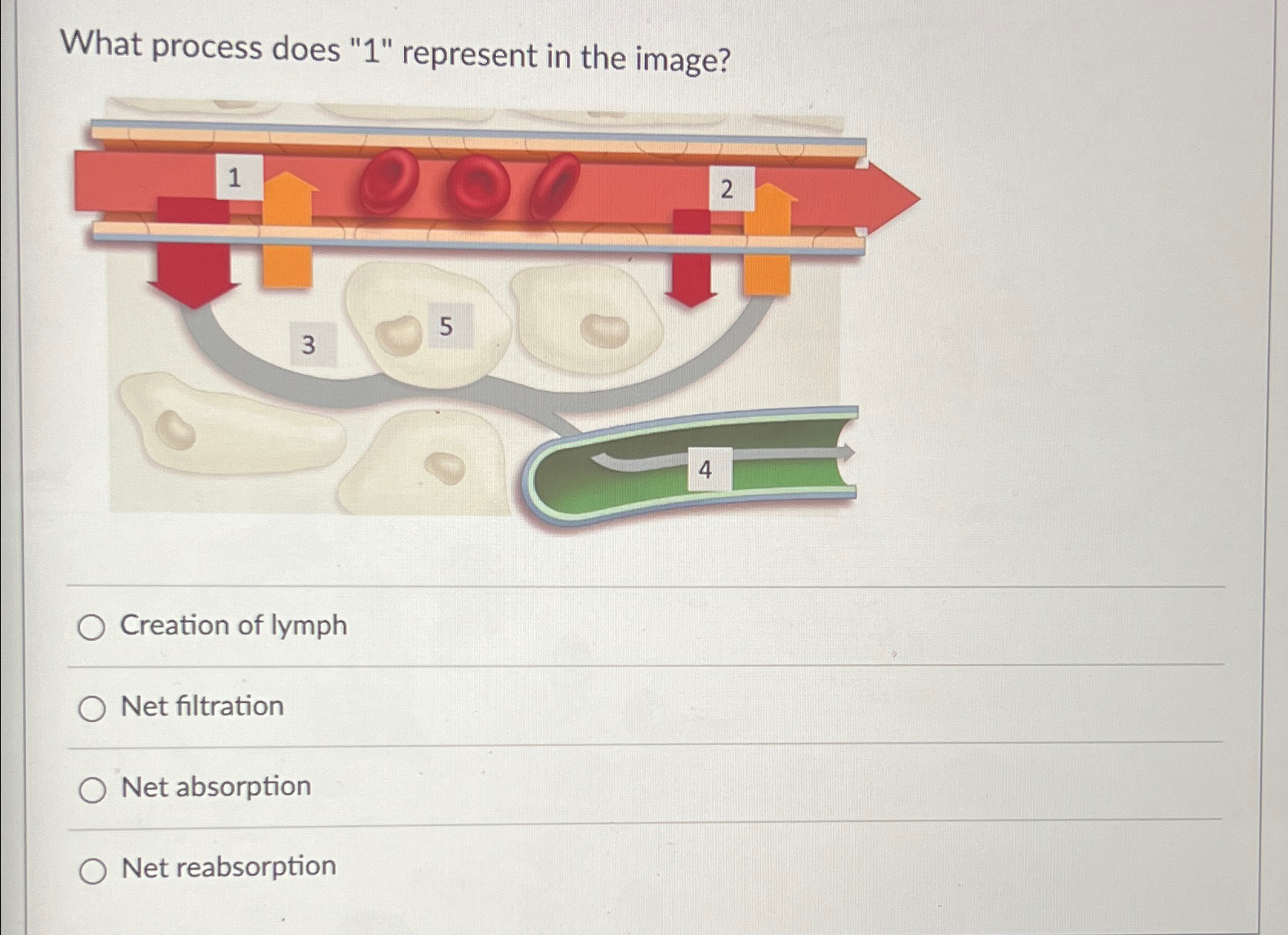 Solved What process does " 1 " ﻿represent in the | Chegg.com