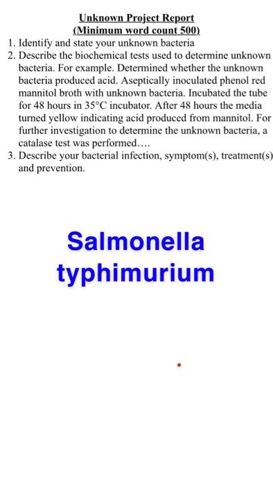 Solved Unknown Project Report (Minimum word count 500) 1. | Chegg.com