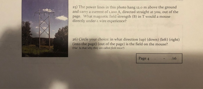 Solved 25) The power lines in this photo hang 12.0 m above | Chegg.com