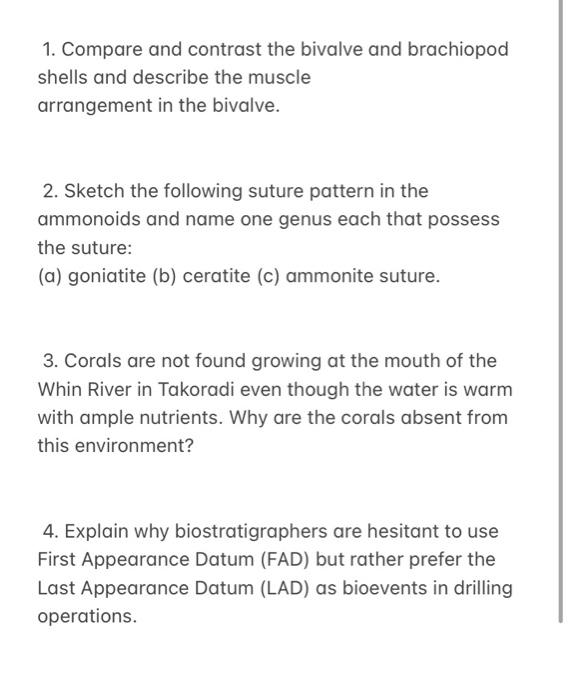 Solved 1 Compare And Contrast The Bivalve And Brachiopod