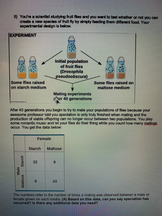 Solved 5) You're a scientist studying fruit flies and you | Chegg.com