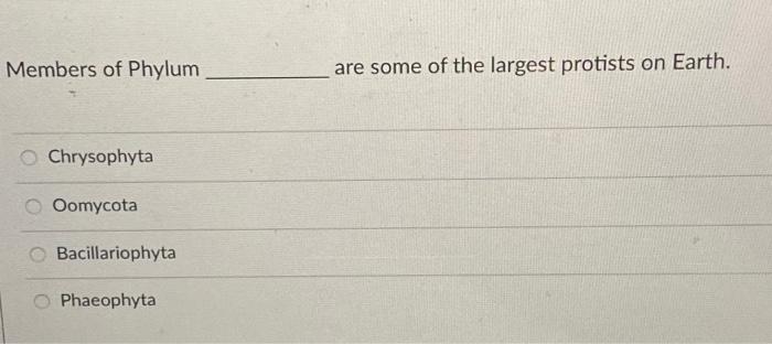 Solved Members of Phylum are some of the largest protists on | Chegg.com