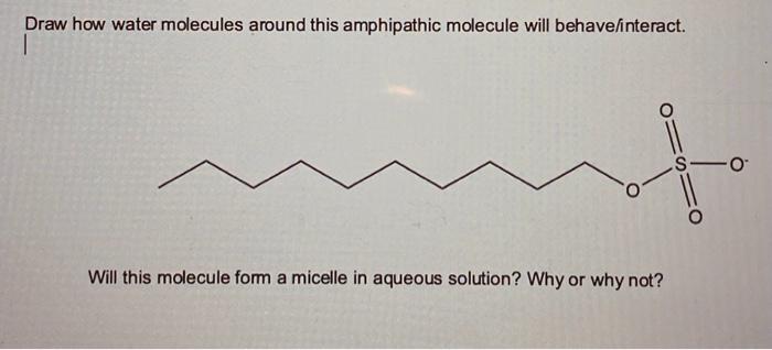 Solved Draw how water molecules around this amphipathic | Chegg.com