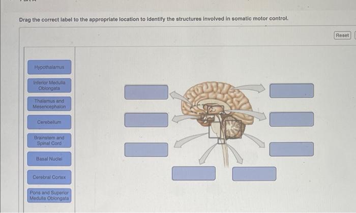 Solved Drag the correct label to the appropriate location to | Chegg.com