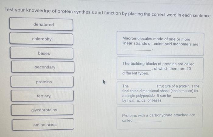 Solved Test your knowledge of protein synthesis and function | Chegg.com