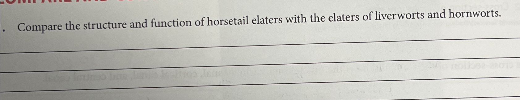 Solved Compare the structure and function of horsetail | Chegg.com