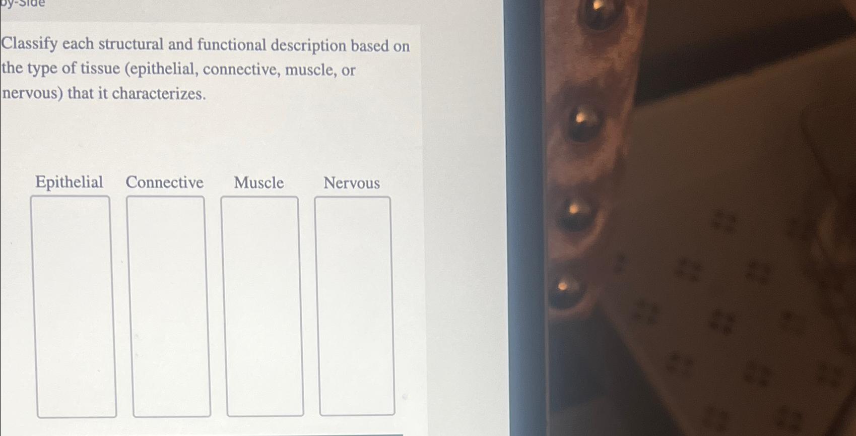 Solved Classify each structural and functional description | Chegg.com
