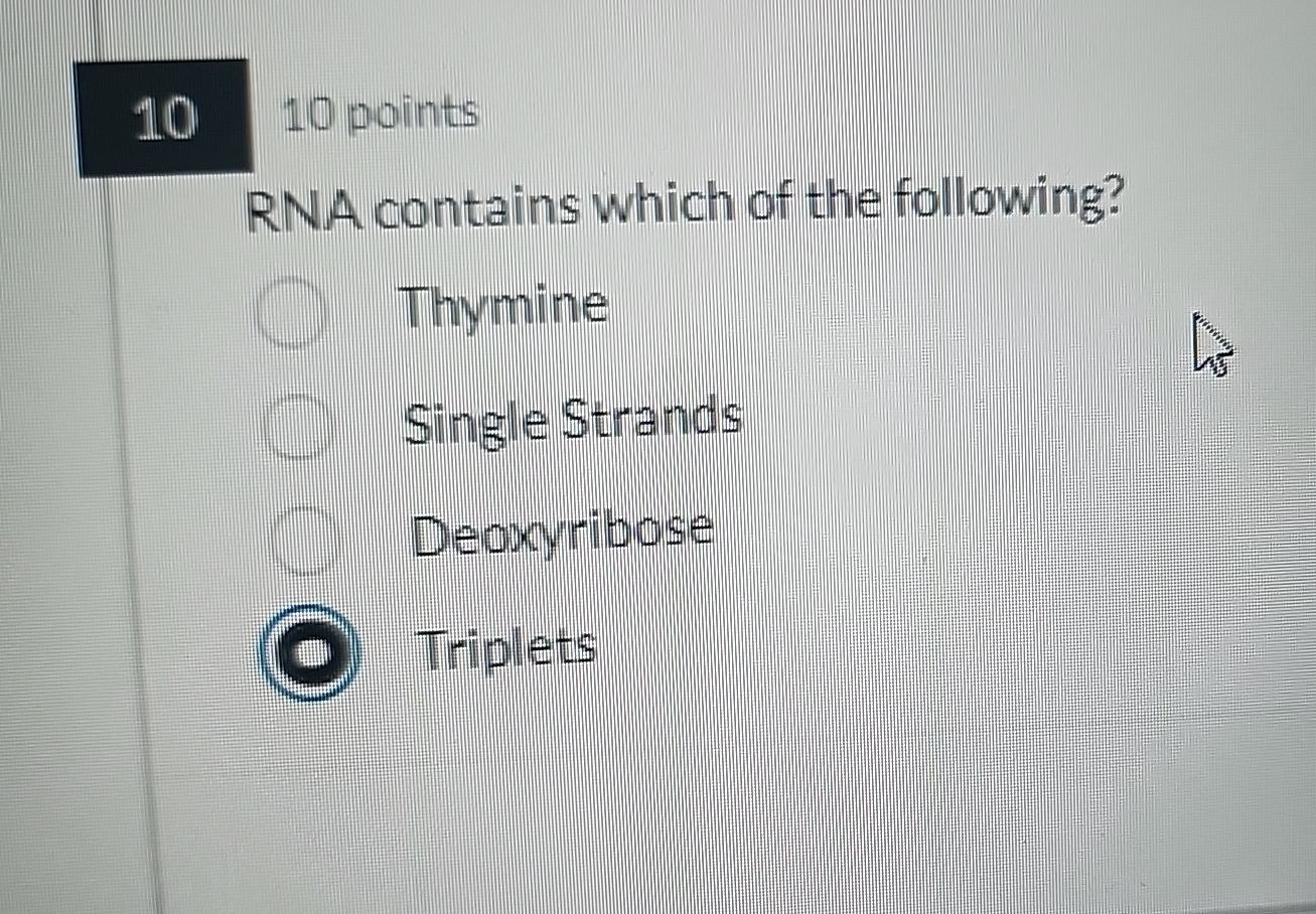 Solved 1010 ﻿pointsRNA contains which of the | Chegg.com