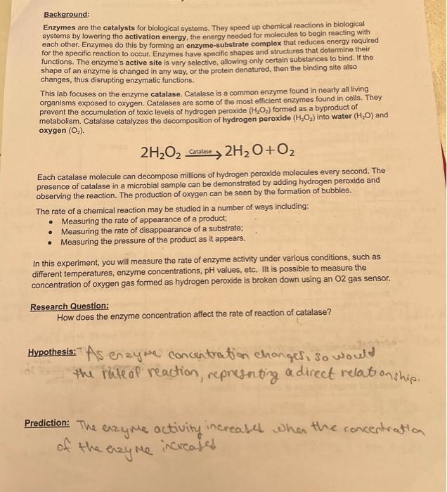 Solved 1 Explain How The Concentration Of Catalase Affects