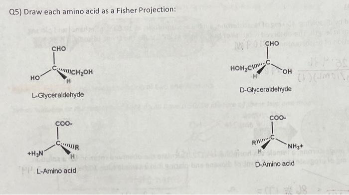 Solved Q5) Draw each amino acid as a Fisher Projection: | Chegg.com