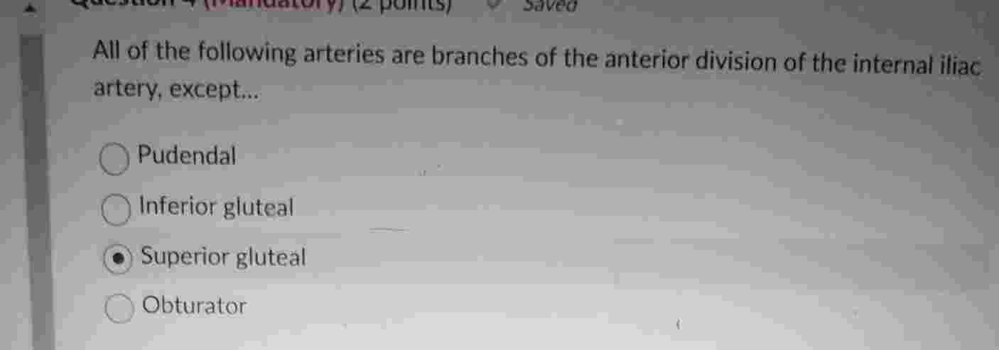 High Quality SOLUTION All of the following arteries are branches of the | Chegg.com