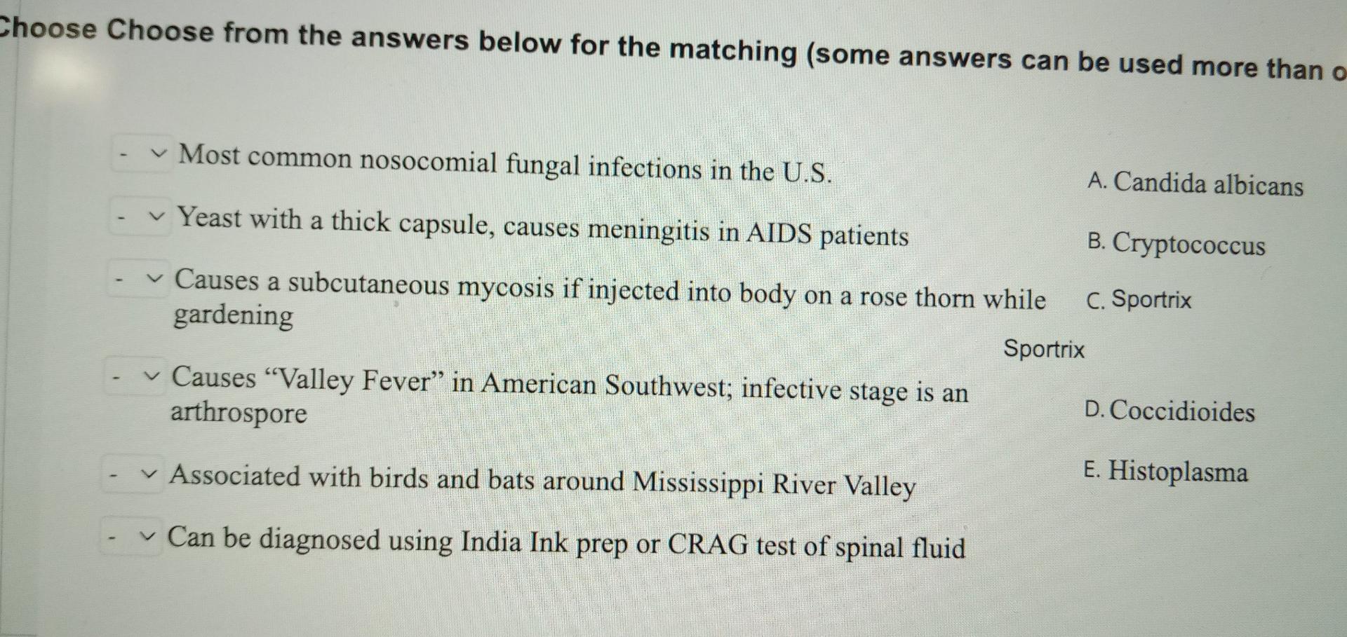 Solved Choose Choose from the answers below for the matching | Chegg.com