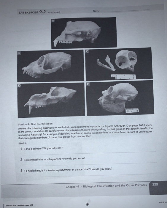 LAB EXERCISE 9.2 continued Station 4: Skull | Chegg.com