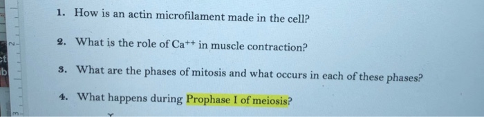 Solved 1. How is an actin microfilament made in the cell? 2. | Chegg.com