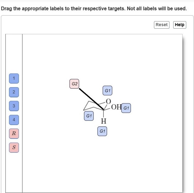 Solved Drag the appropriate labels to their respective | Chegg.com