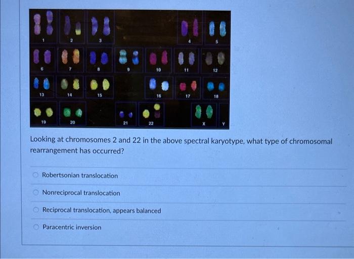 [Solved]: I need help please. Looking at chromosomes 2 and 2