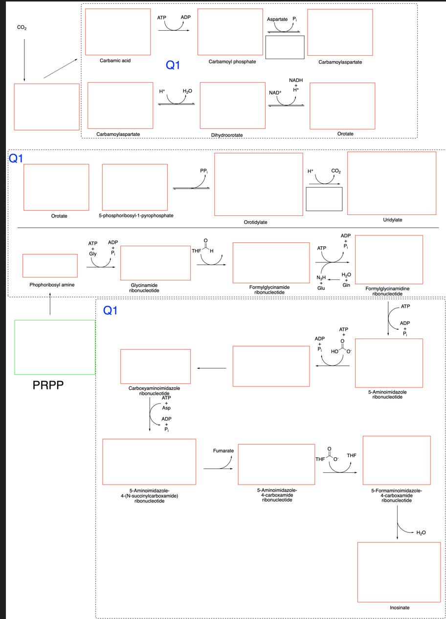 Solved Biochemistry. When you answer, please use the picture | Chegg.com