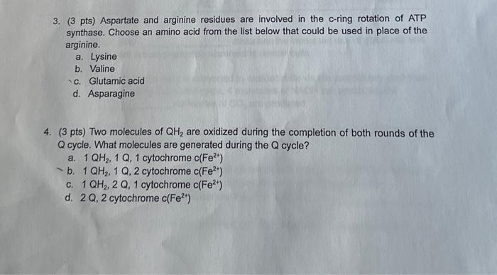 Solved 3. ( 3 pts) Aspartate and arginine residues are | Chegg.com