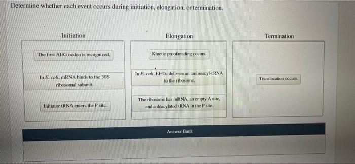 Solved Classify each phrase as a description of alpha | Chegg.com