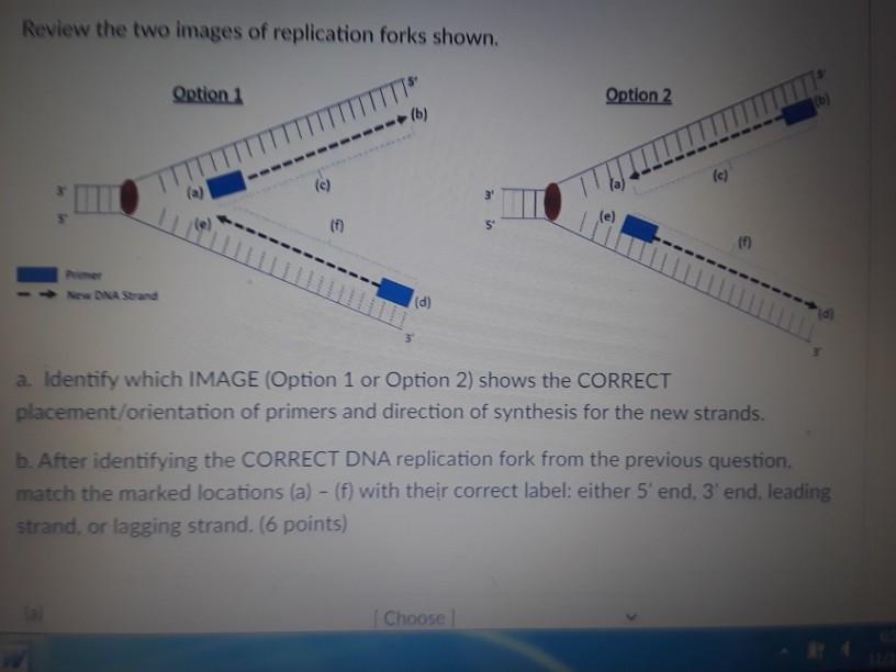 Solved Review the two images of replication forks shown. | Chegg.com