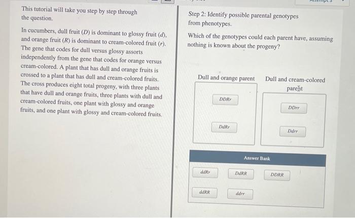Solved This tutorial will take you step by step through the | Chegg.com