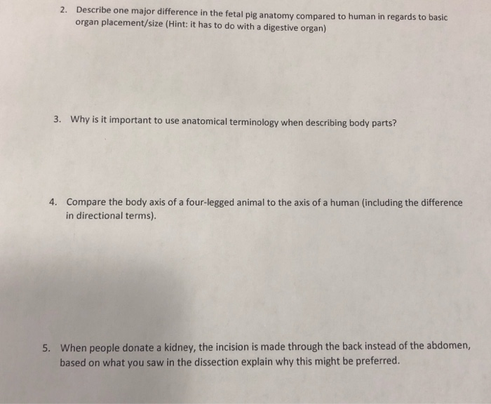 Solved 2. Describe one major difference in the fetal pig | Chegg.com