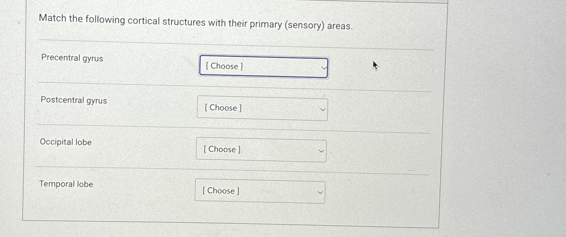 Solved Match the following cortical structures with their | Chegg.com