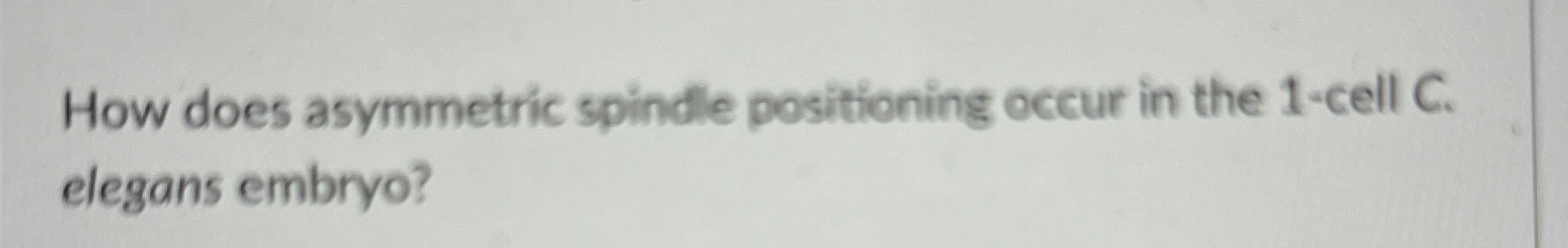 Solved How does asymmetric spindle positioning occur in the | Chegg.com