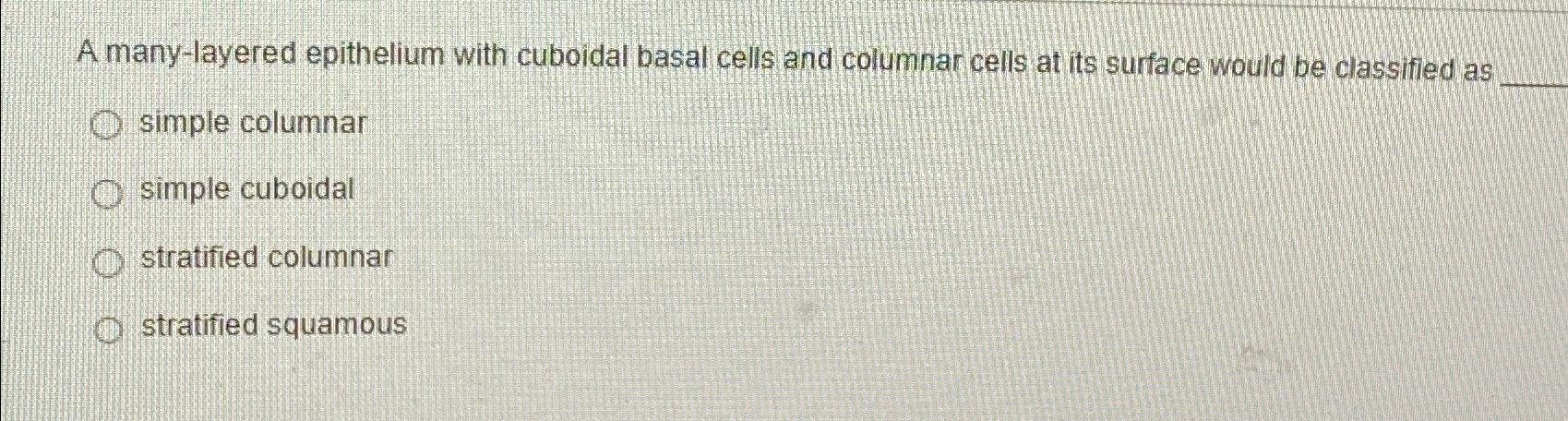 Solved A many-layered epithelium with cuboidal basal cells | Chegg.com