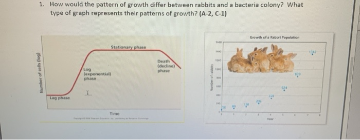 Solved 1. How would the pattern of growth differ between | Chegg.com