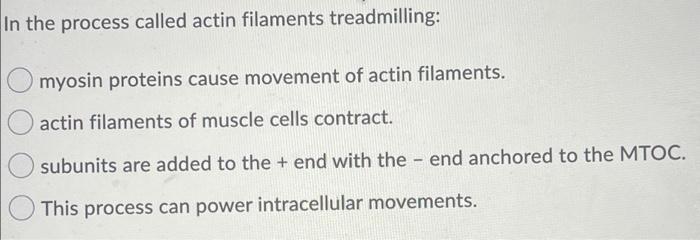 Solved In the process called actin filaments treadmilling: | Chegg.com