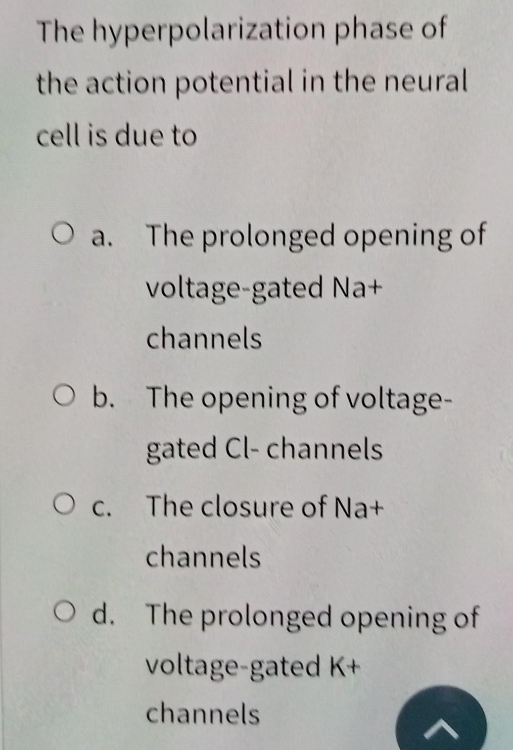 Solved The hyperpolarization phase of the action potential | Chegg.com