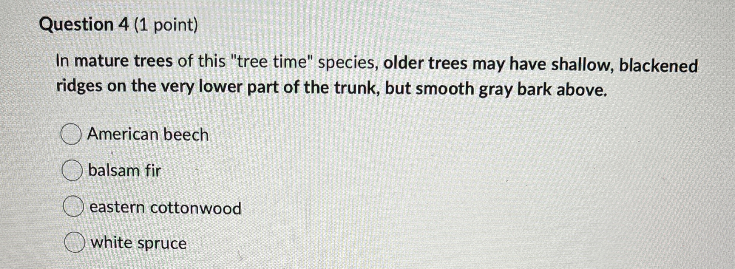 Solved Question 4 (1 ﻿point)In mature trees of this "tree | Chegg.com